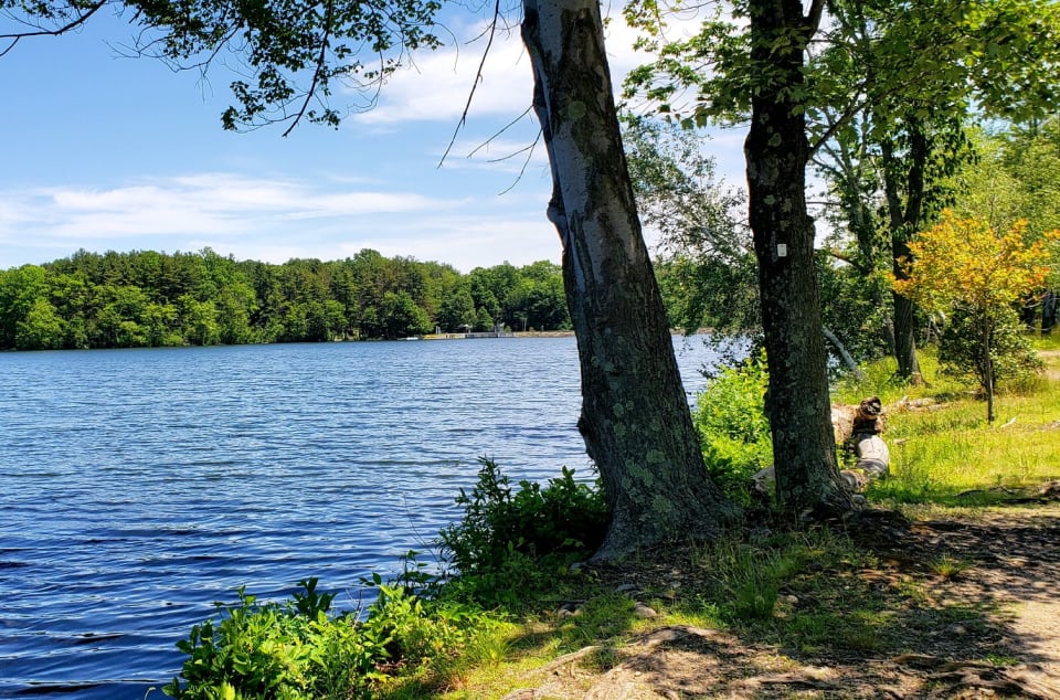 Franklin Lakes | Neighborhood Guide| Ann + Melinda Group
