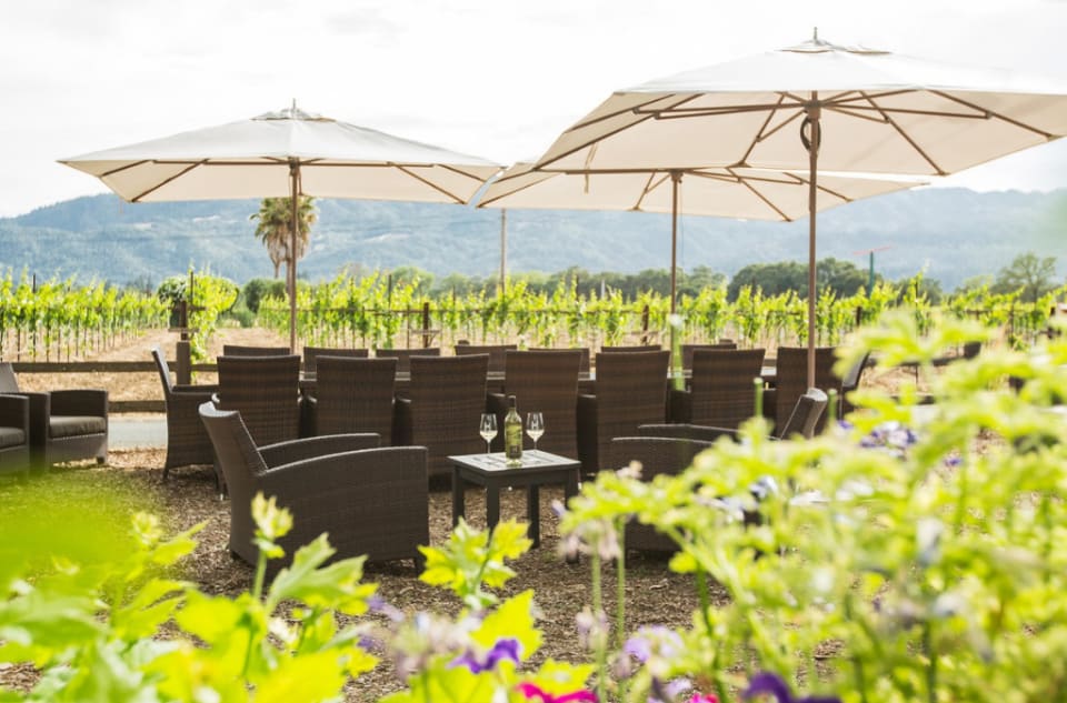 Honig Winery A Legacy of Sustainability Producing Wines | Blog | The ...