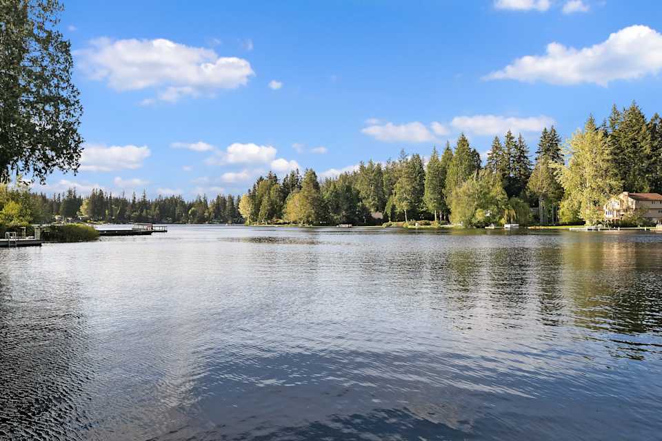 Pine Lake Homes for Sale | Margo Allan