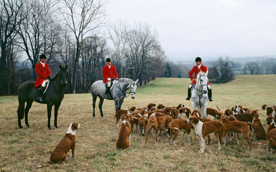 Virginia Hunt Country | Community Guide | Ritzert Weiss