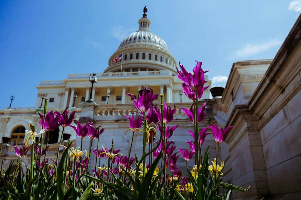 Historic Capitol Hill DC Neighborhood: Stanton Park