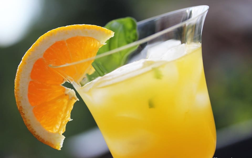 Orange Basil Vodka Mojito | Blog