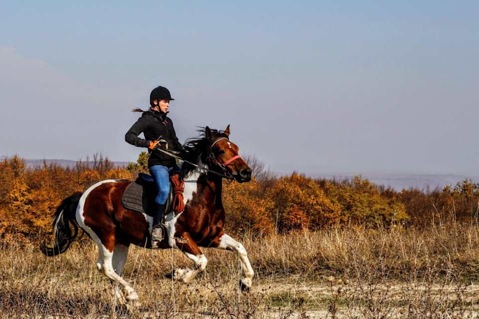6 Best Destinations for Horseback Riding in Napa Valley