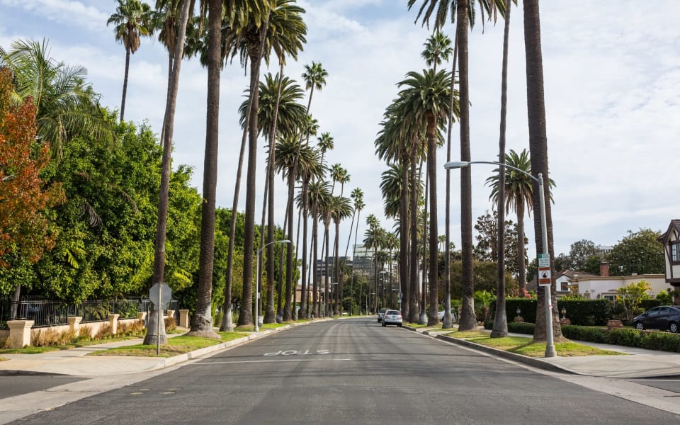 Sherman Oaks | Neighborhood Guide | Robust Real Estate