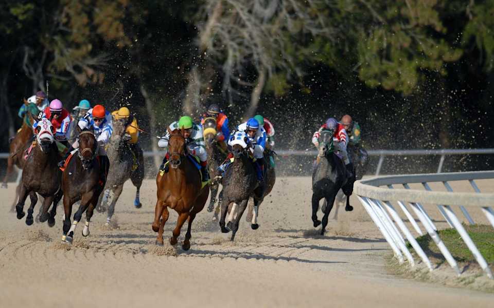 14 Things to Do in Arcadia | Blog | Nicola Speranta