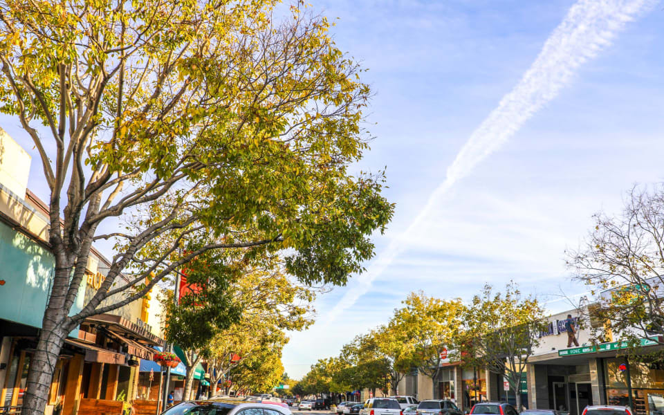 San Carlos | Neighborhood Guide | The Anagnostou Team