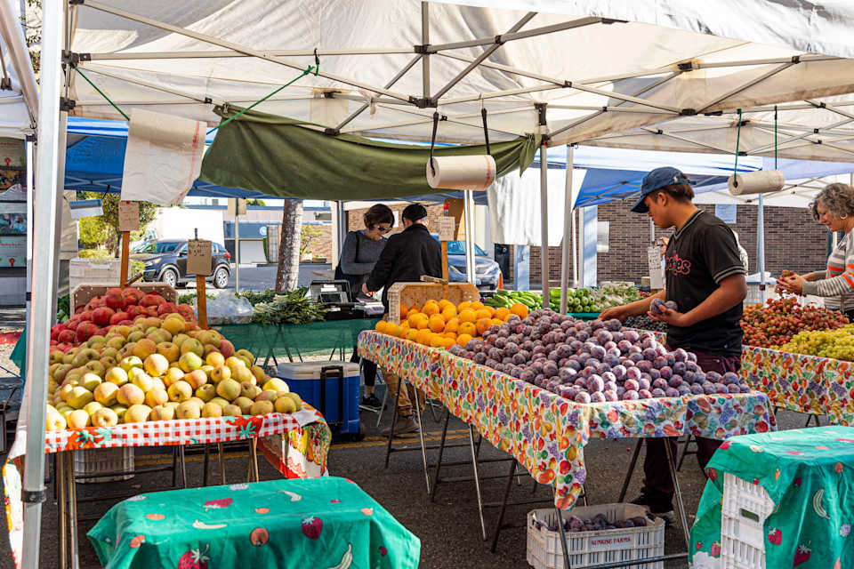 Exploring Local Farmer's Markets: An Authentic Taste of the Peninsula