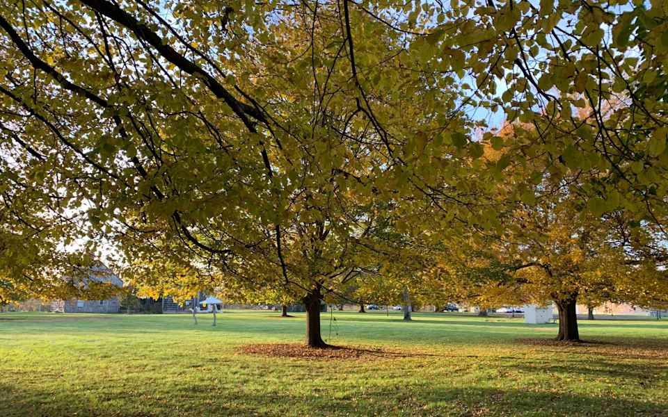 Wainscott | Neighborhood Guide