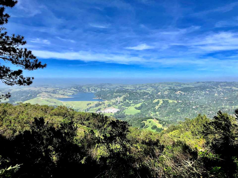Orinda | Market Guide