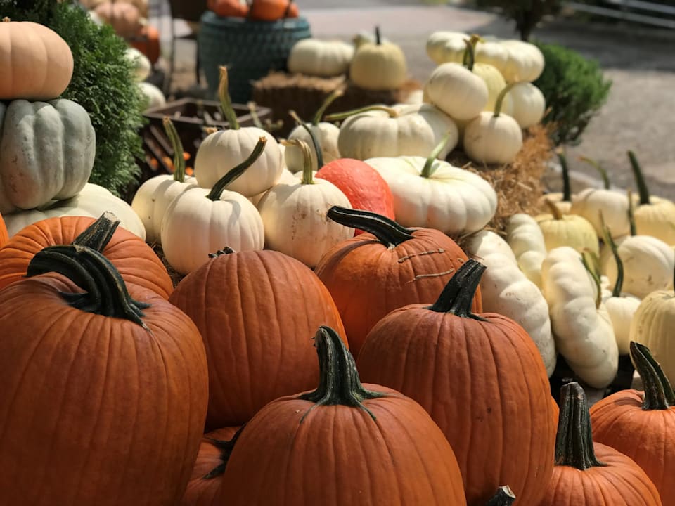 Apple Orchards and Pumpkin Patches | The Laura Peery Team