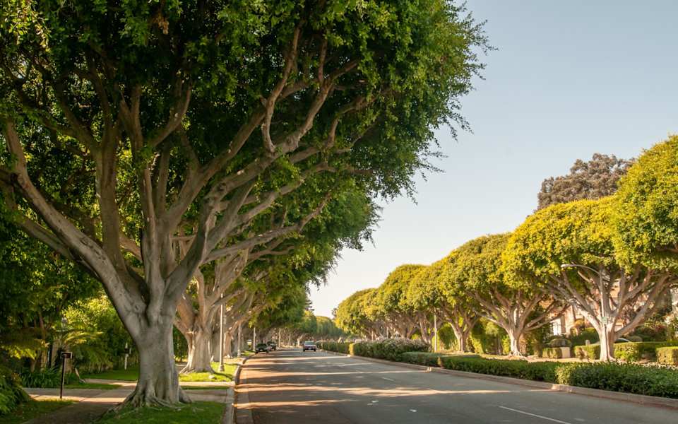 Encino Real Estate | Neighborhood Guide | Crystal Hefner