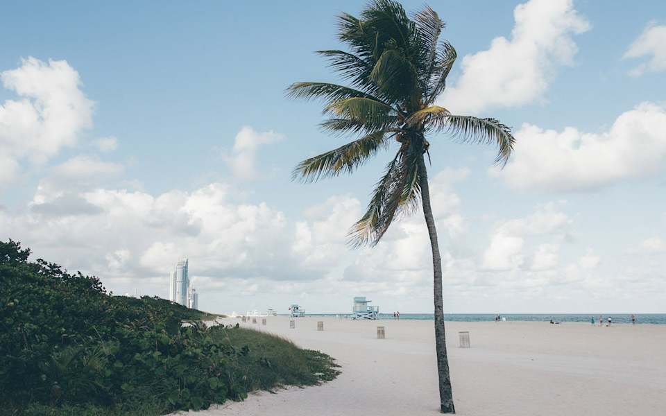 Golden Beach | Neighborhood Guide | The Inside Network