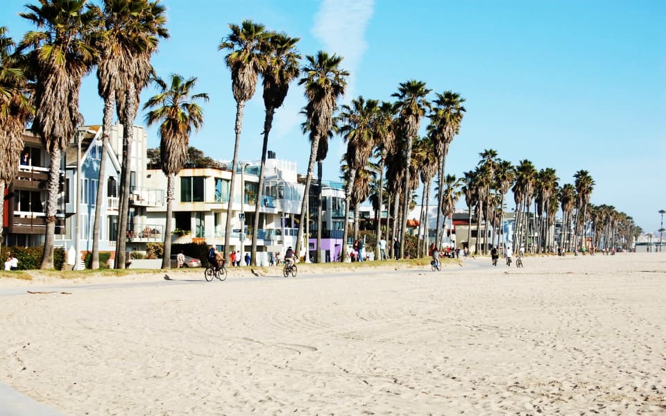 Venice Beach | Neighborhood Guide | Danielle Edney Homes