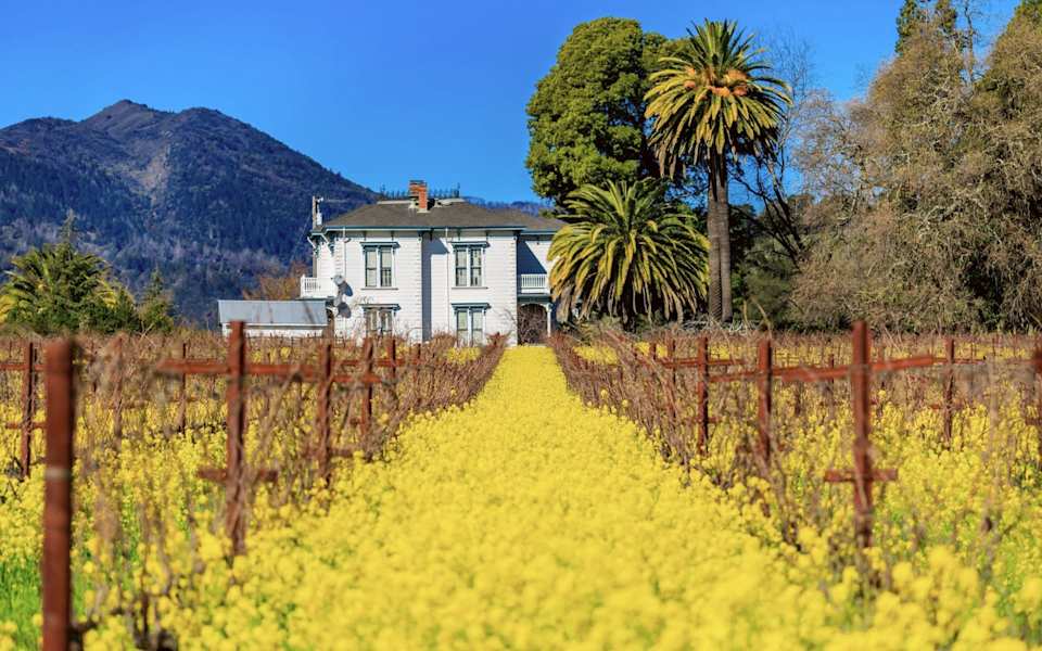 Yountville | Community Guide | Heather Dene Real Estatae
