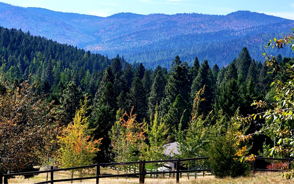 A Guide to Kalispell, MT Parks | Blog | Heidi Lane