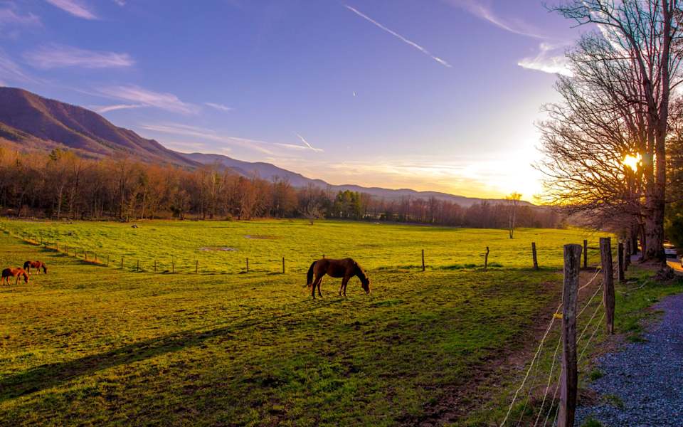 Spring Hill | Neighborhood Guide | Onward Real Estate