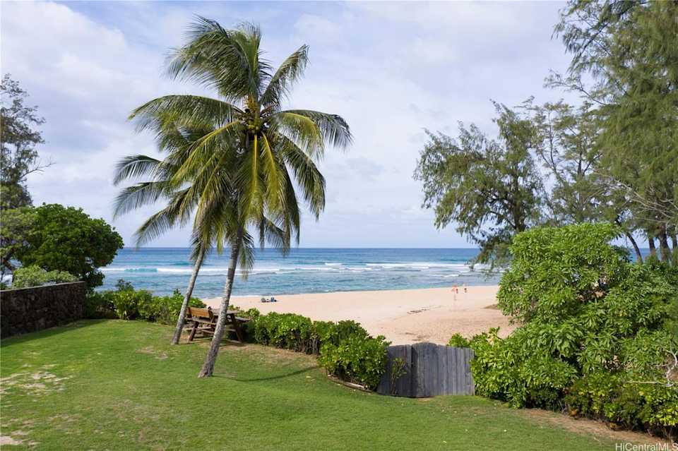 61-489 Kamehameha Hwy | Sean Yano