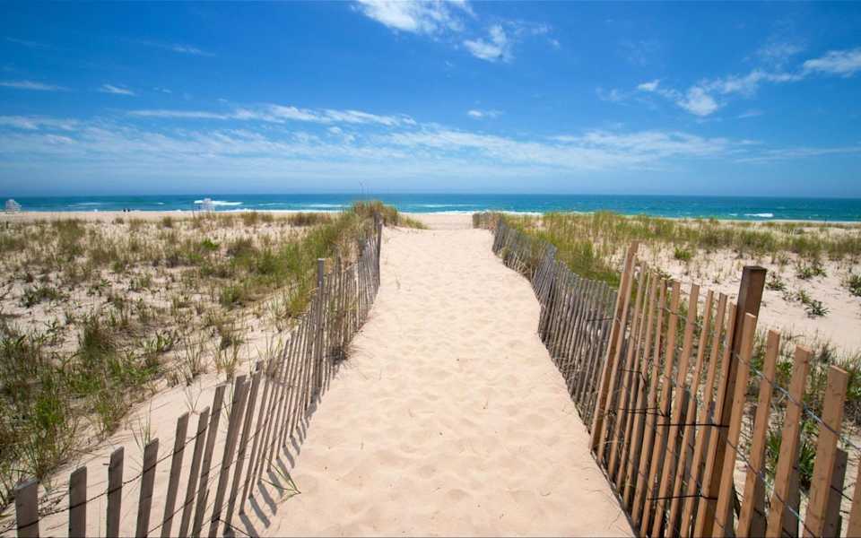 Your Complete Guide to Beach Spots in the Hamptons | Blog | Mala Sander