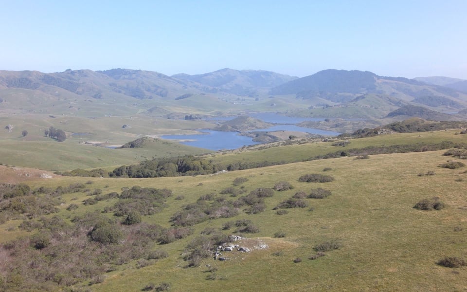 Martinelli Ranch | Peter Maselli