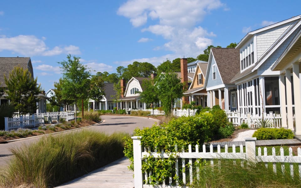 New Suburb Beautiful | Neighborhood Guide | 360 Realty