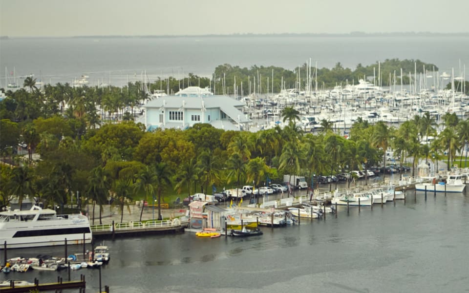 Coconut Grove Real Estate | Homes for Sale in Coconut Grove