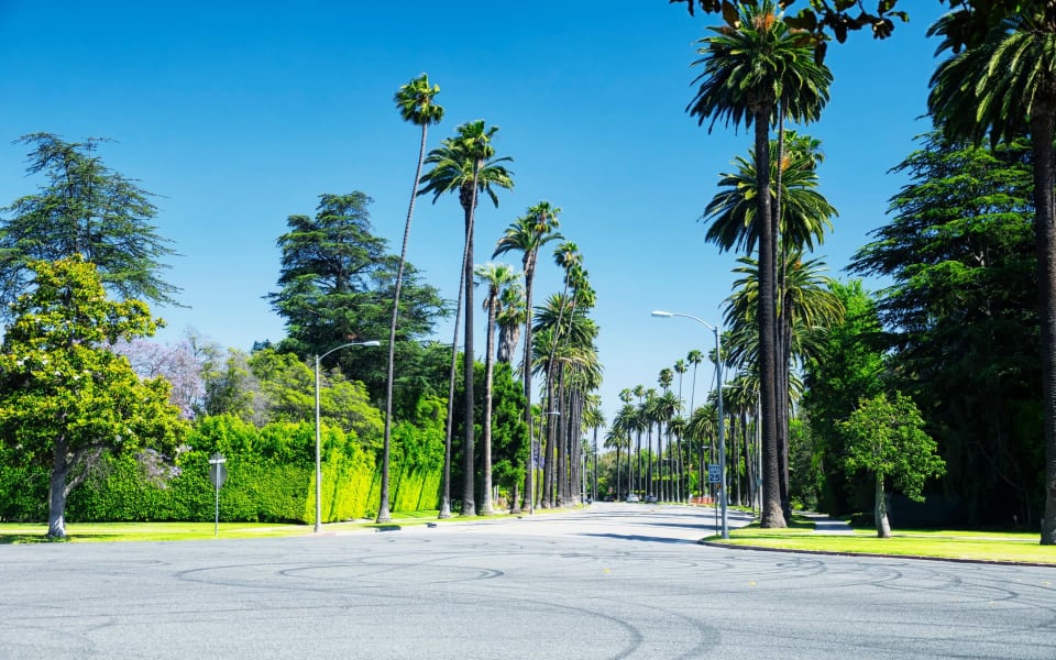 Beverly Hills | Neighborhood Guide | Ali Rassekhi