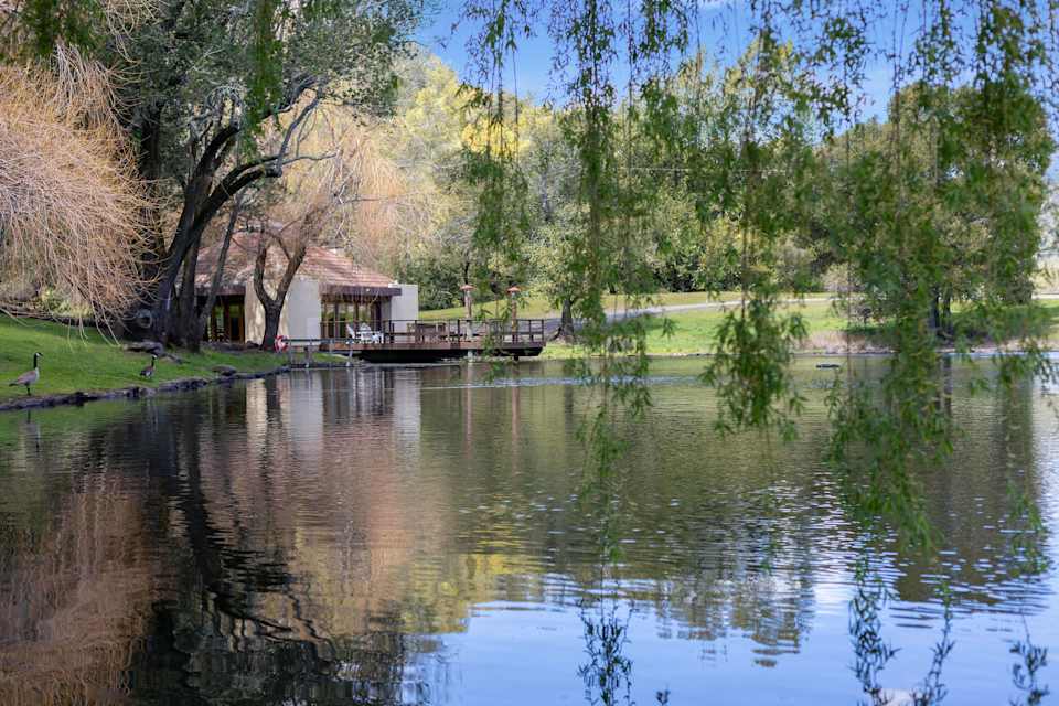 George Ranch, Sonoma | Marin County Real Estate Agent