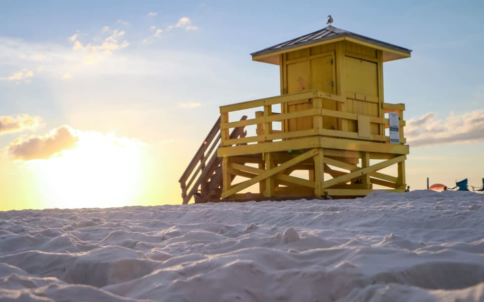 Siesta Key | Neighborhood Guide | Wendy Egan