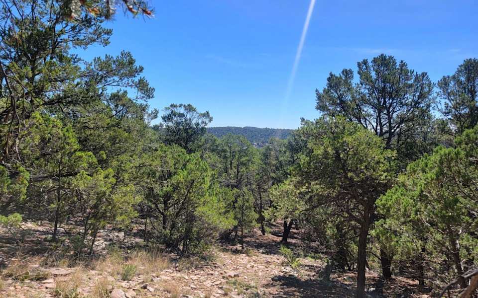 Living in the East Mountains | Blog | Jeanette Raver