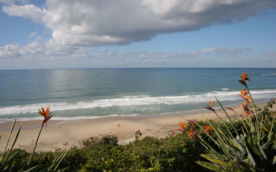 Laguna Niguel | Area Guide | Echelberger Group