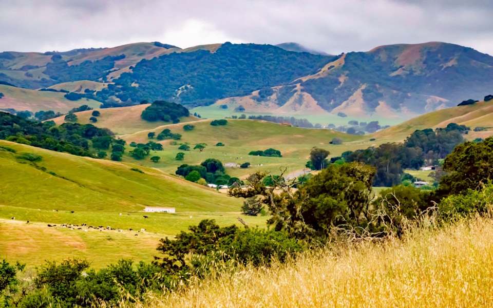 10 Fun Things to Do in Petaluma Without Breaking the Bank | Blog | Rob ...