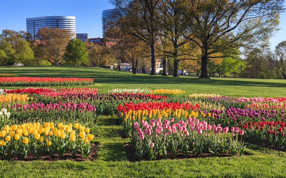 Neighborhood || Arlington Ridge