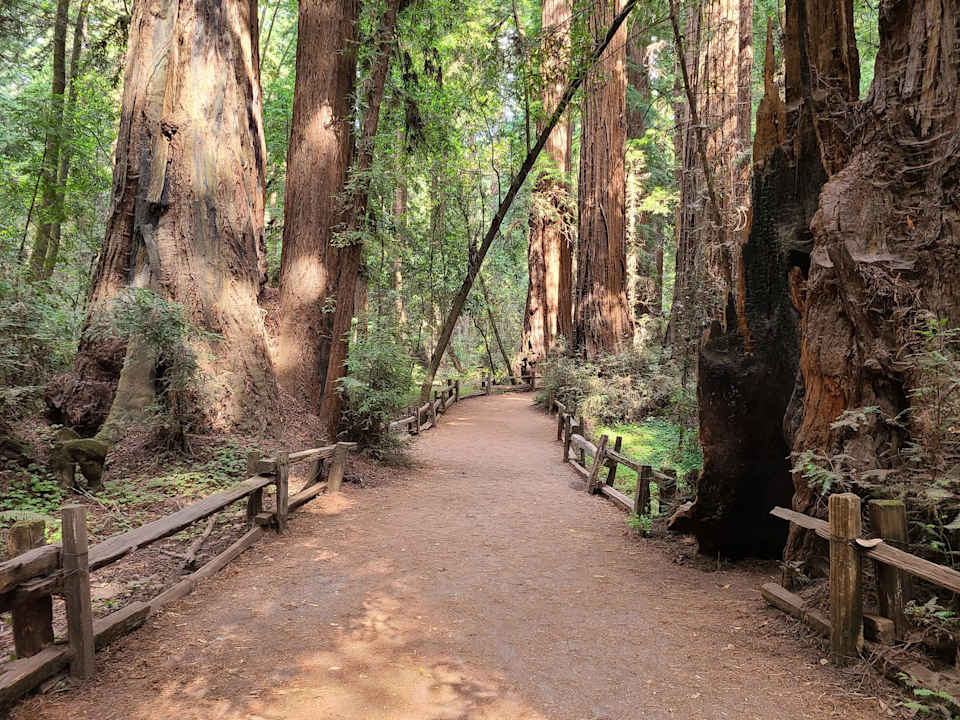 All Ages Terrain: 7 Easy Santa Cruz Hiking Trails for Families | Blog