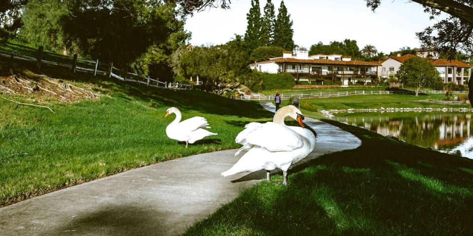 Fairbanks Ranch | Community Guide | Linda Sansone & Associates