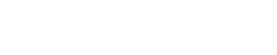 Leon Lopes | Plymouth Real Estate Expert