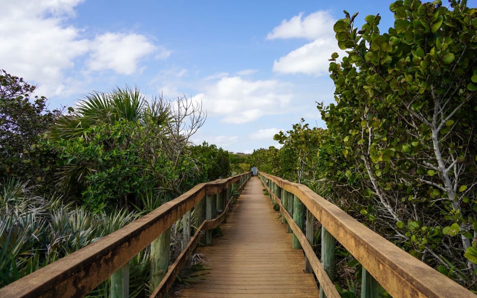 Fleming Island | Neighborhood Guide