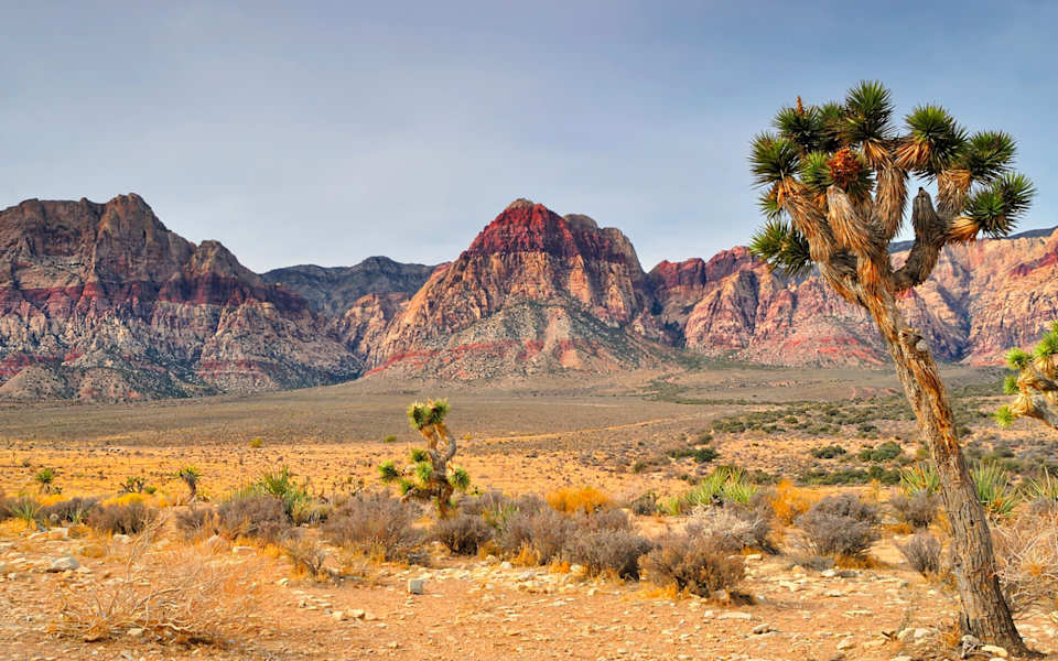 The Top Attractions in Las Vegas, NV, For Locals or Tourists | Blog ...