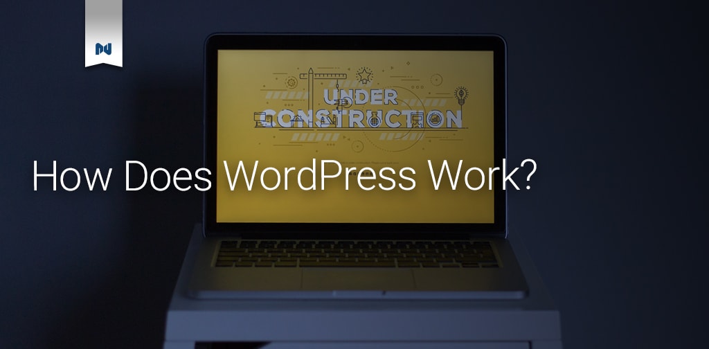 How Does WordPress Work Nexcess