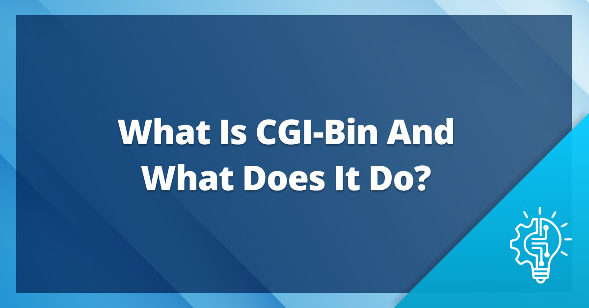 What Is CGI Bin And What Does It Do Liquid Web What Is CGI Bin And What Does It Do Liquid Web