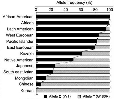 World Genetic Regions Map