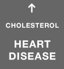GB HealthWatch