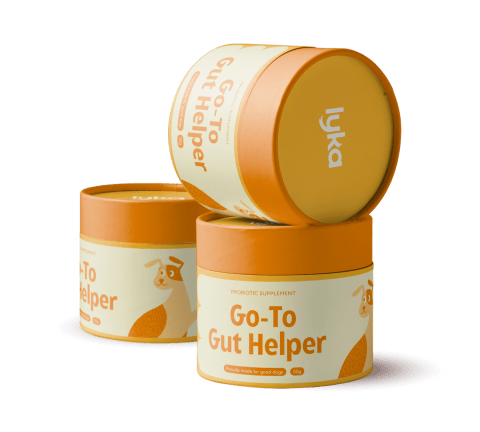 Natural Dog Probiotic Powder | Lyka Pet Food