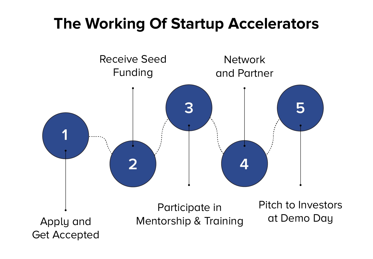 Understanding How Startup Accelerators Work