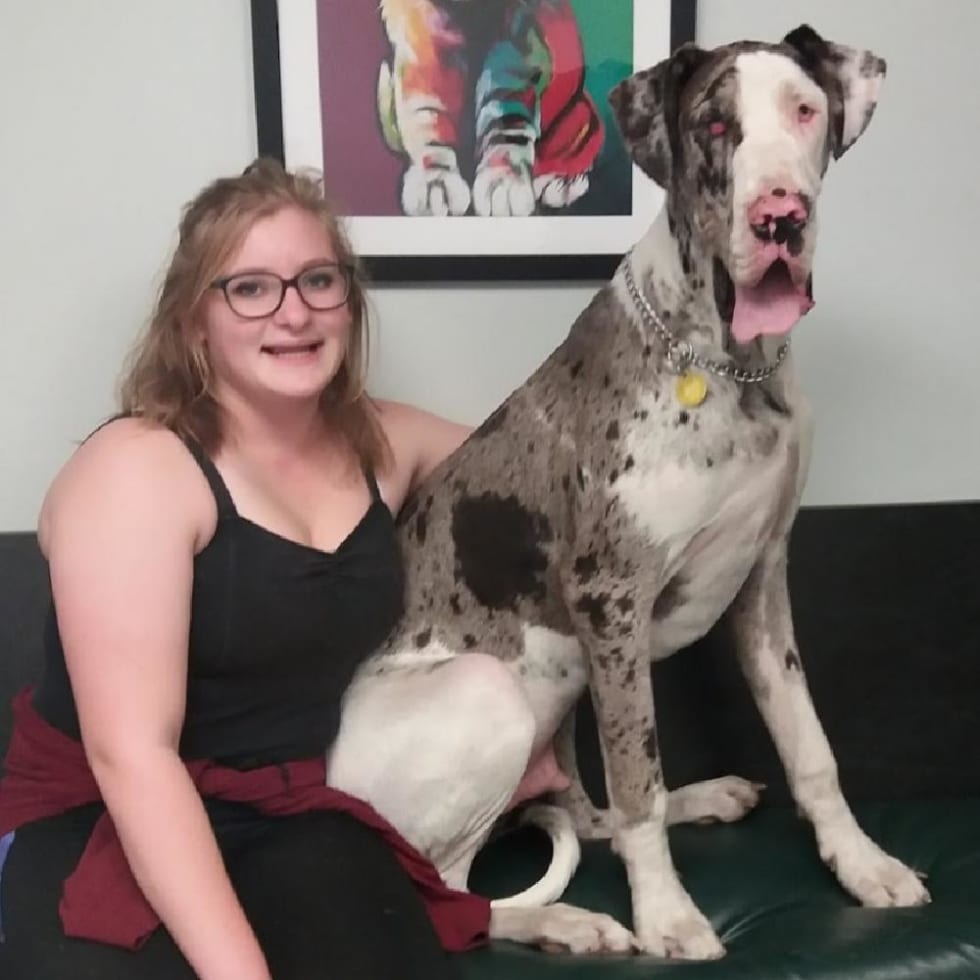 Thea C. | Mad Paws Pet Sitter | Giralang, ACT