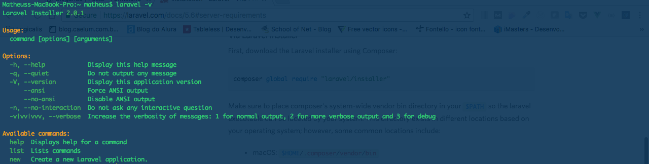 Blog do Matheus Castiglioni | Criando Meu Primeiro Site Com Laravel