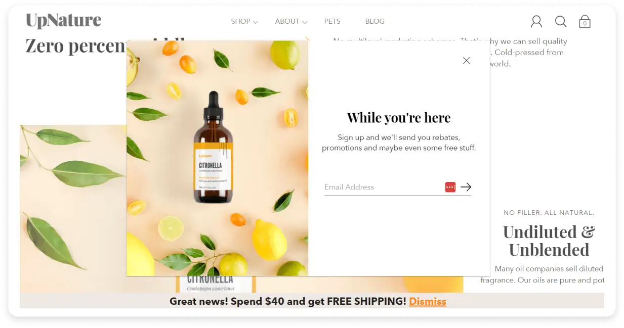 10 Best Email Popup Examples & Why They Work