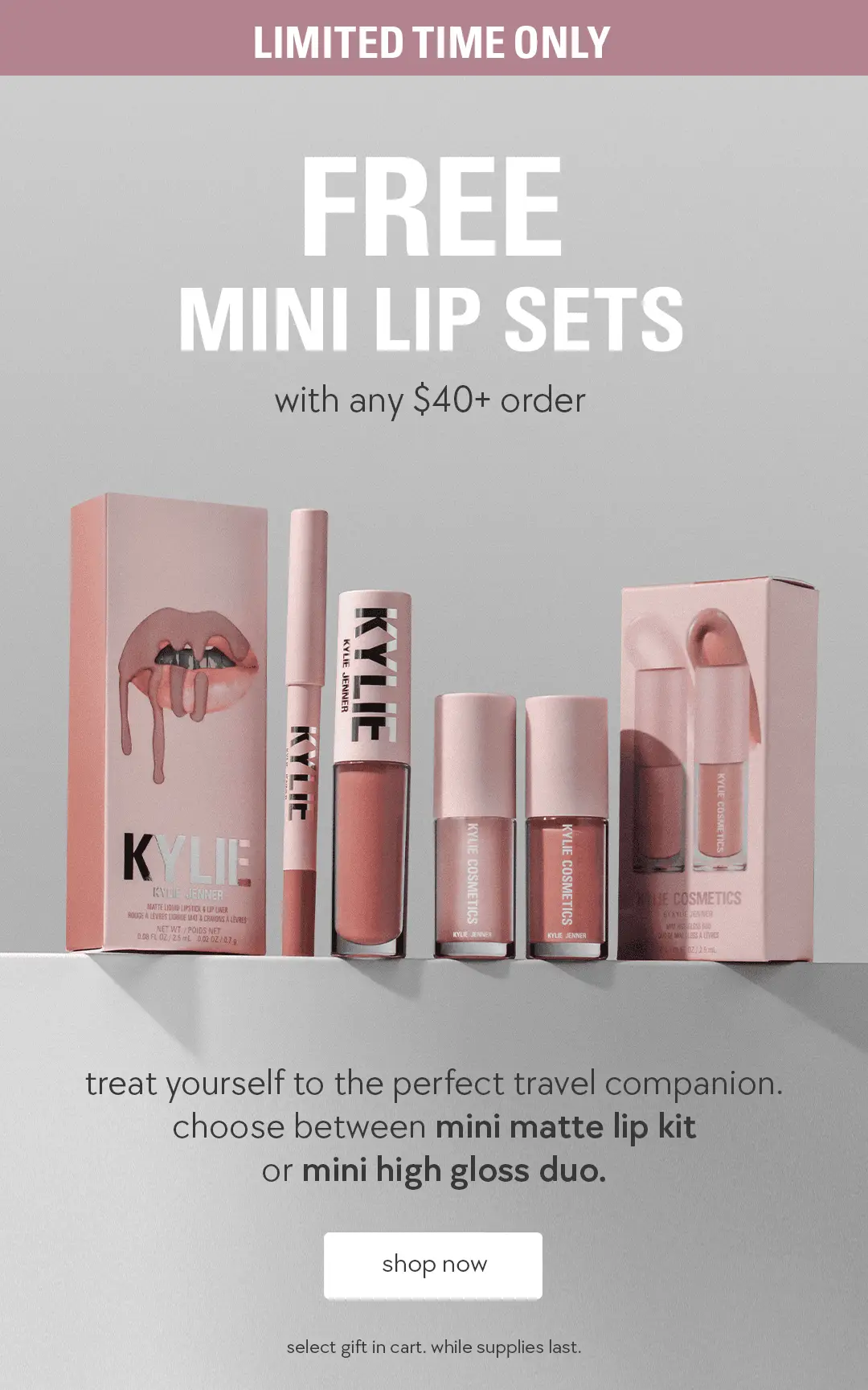 16 Best Sales Promotion Examples for Inspiration in 2024