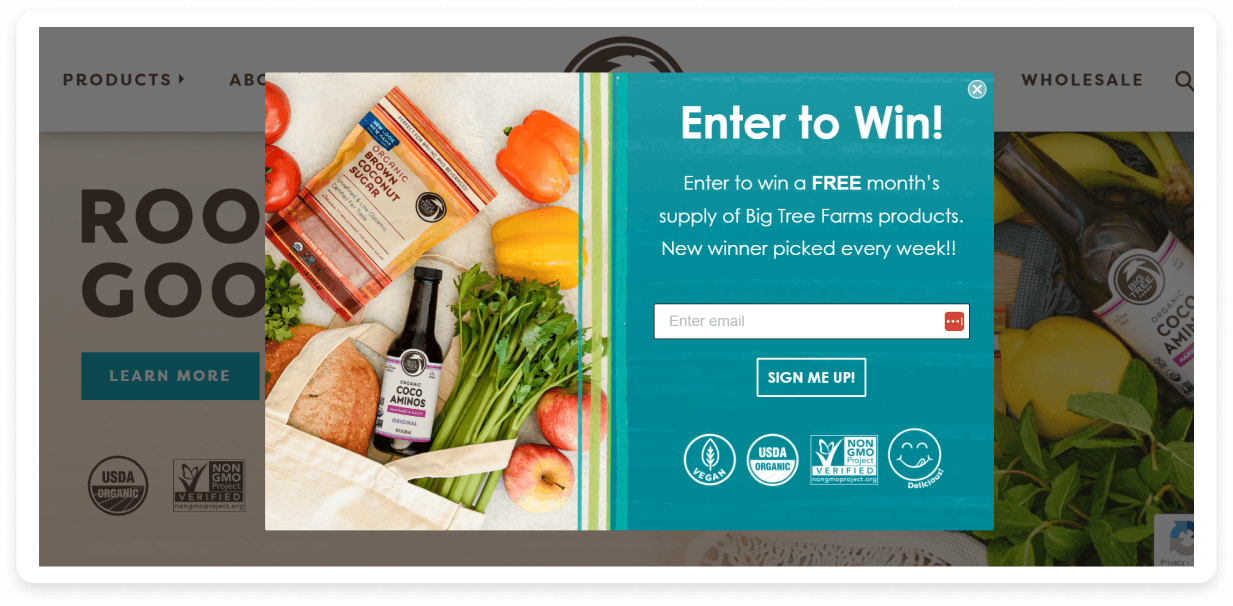 10 Best Email Popup Examples & Why They Work