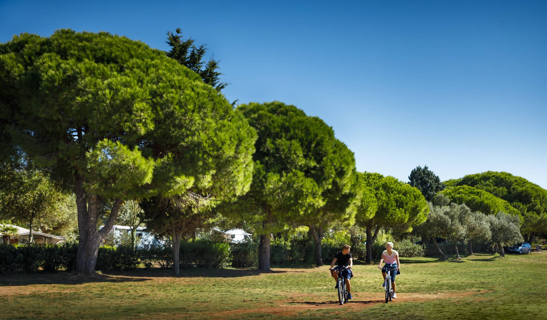 Campsite Polari Rovinj Istria – Official Website | Maistra