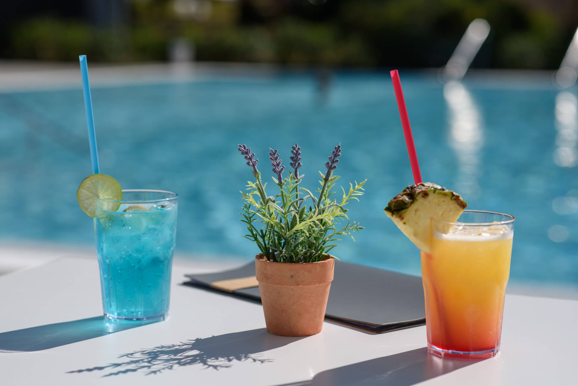 Tuffo Splash Bar, Campsite Valkanela - Vrsar | Maistra